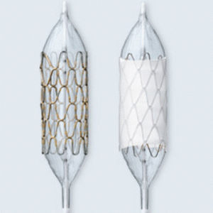 Stent - Todos los fabricantes de dispositivos médicos - Vídeos - Página 4