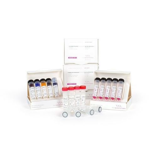 Kit de reactivos enzima - VeriFi™ - PCR Biosystems Ltd. - ADN ...