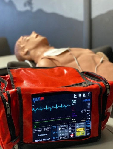 Simulador de formación - DART Sim - DART Sim ECG Simulator - ECG / SpO2 ...
