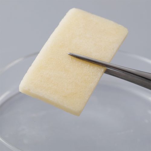 Matriz tisular cirugía ortopédica - SKUHEAL™ L220625 - Allgens Medical ...