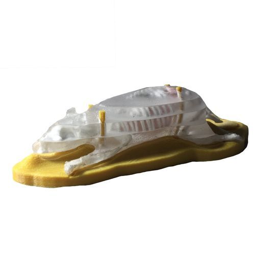 Fantoma para prueba veterinaria para escáner de rayos X - RT-C02 - True ...