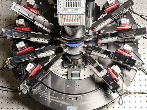 Micromanipulador de 3 ejes - LN Junior - Luigs & Neumann - estereotáxico