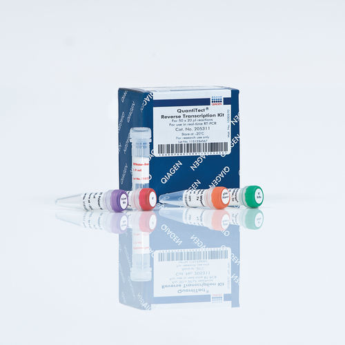 Kit de reactivos para RT-PCR - QuantiTect - QIAGEN - retrotranscriptasa ...