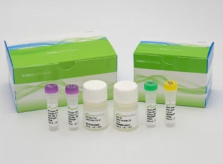 Kit de reactivos en solución - KAPA HyperPrep - Roche Sequencing ...