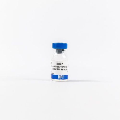 Reactivo anticuerpo policlonal - 0855136 - MP Biomedicals - antisuero ...