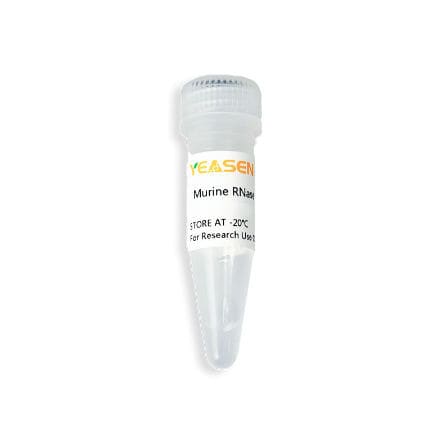 Reactivo inhibidor de RNasa - 10603ES series - Yeasen Biotechnology ...