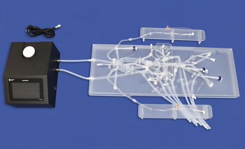 Modelo De Arteria Iliaca Externa