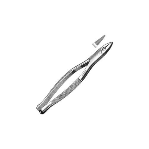 Pinza dental - SI-3192 - Aadab International - de extracción