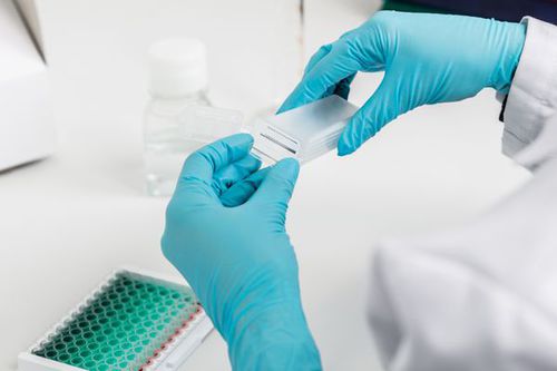 Portaobjetos - sciCHIP Amino - Scienion AG