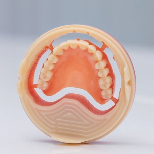 Modelo anatómico de encías - Ivotion® - Ivoclar Vivadent - de dentadura ...