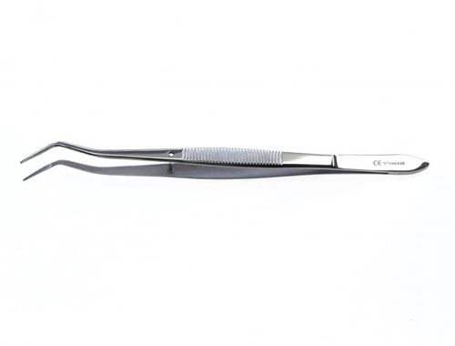 Pinza dental quirúrgica - 16 - Wittex - curvada