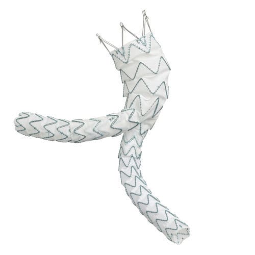 Stent-injerto aorta abdominal - TREO® - Terumo Aortic
