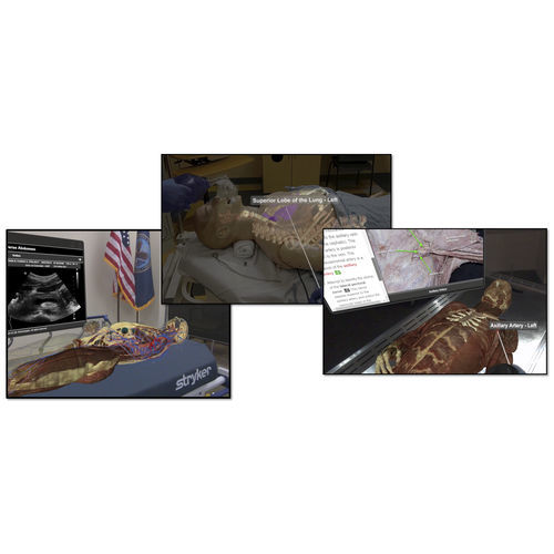 Módulo de simulación de formación - VH Dissector - Touch of Life ...