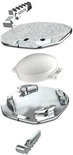 Prótesis de disco lumbar - Mobidisc® - LDR Medical