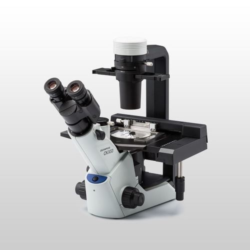Microscopio invertido - CKX53 - Evident - Olympus Scientific Solutions ...