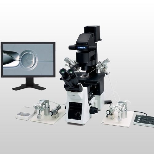 Microscopio óptico - IX3-ICSI/IMSI - Evident - Olympus Scientific ...