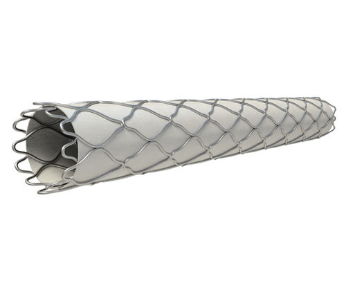 Stent-injerto arteria coronaria - Direct-Stent® - InSitu Technologies ...