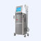 Sistema IPL para depilación - OPT SHR IPL (Vertical) - Zhengzhou PZ Laser Slim Technology - para ...