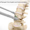 Caja intersomática lumbar - Spineology - vía anterior / de PEEK