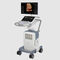 Ecógrafo con soporte - Voluson™ Signature 20 - GE Healthcare - para ...