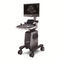 Ecógrafo con soporte - E-CUBE 8 Series - Alpinion Medical Systems ...